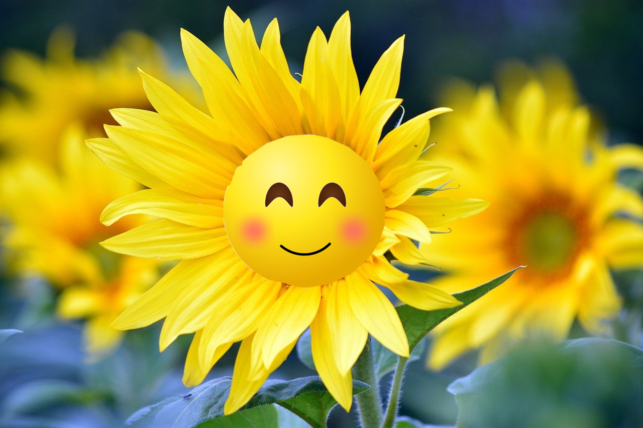 Kuvis blogi - Jemina 8A kuvis blogi