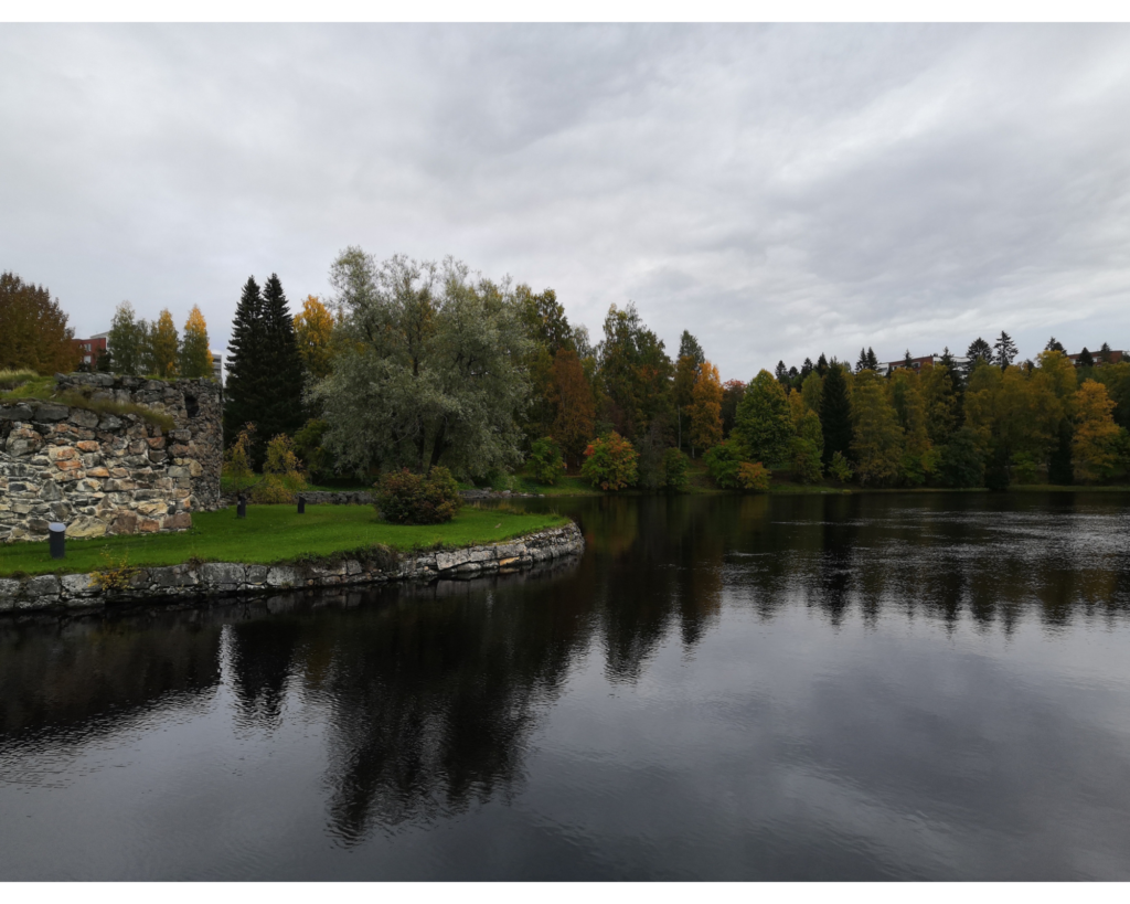 Salil eka, salil vika viikolla 37 - Maija meinaa maralle and beyond