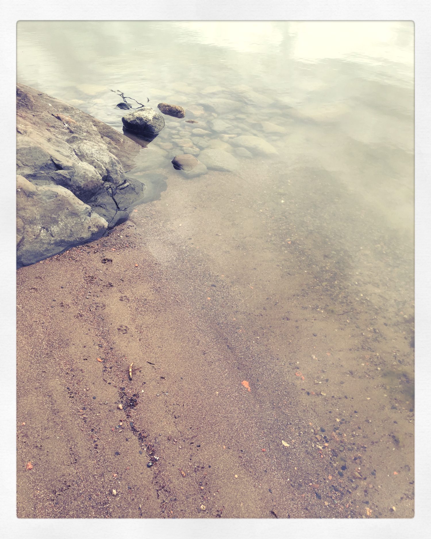 Viikunapuu tutorial – Katrineberg | Lily